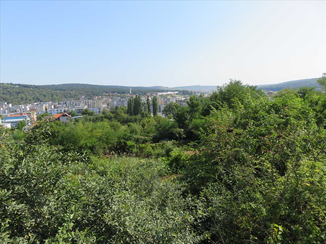 Fonduri Regio pentru un parc de peste 3 hectare în Târgu Mureș Fonduri Regio pentru un parc de peste 3 hectare în Târgu Mureș